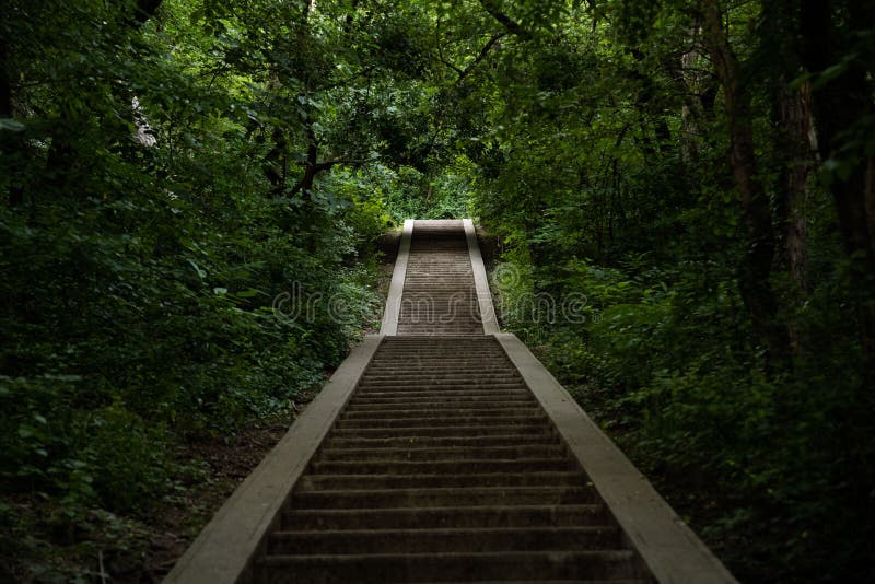Stairway Leading To the Top of a Hill with Trees Stock Image - Image of ...