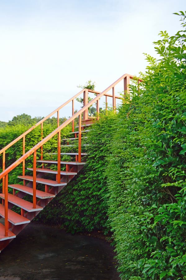 Stairway in the nature stock image. Image of bushes, brake - 42527691