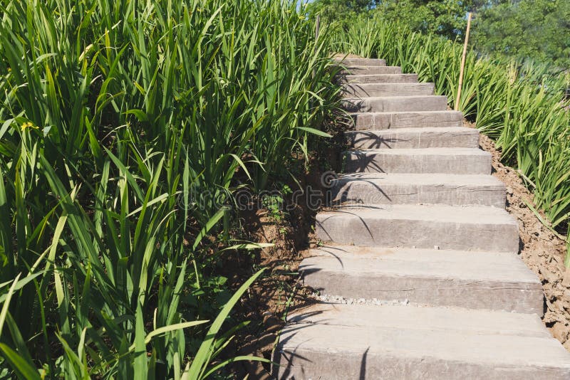 Stairway in the garden stock image. Image of architecture - 102399939