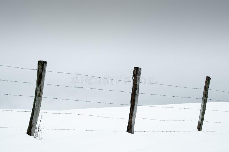 Stakes and Barbed Wire in the Snowy Meadows Stock Photo - Image of ...