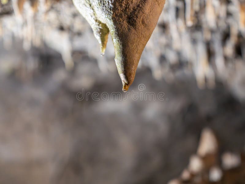 Stalactite Forming, Dripping Water Droplet, Cave Formation Stock Photo ...