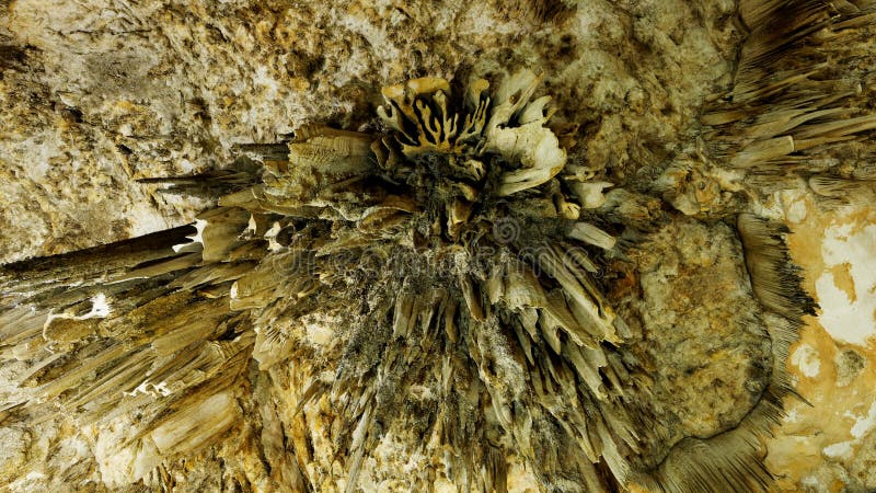 Stalactites from a Drip Stone Cave from Below Stock Image - Image of ...