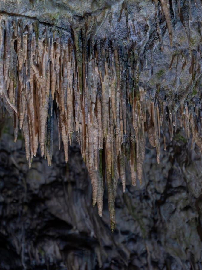 Stalactites Hanging from Ceiling of Dark Cave Stock Photo - Image of ...