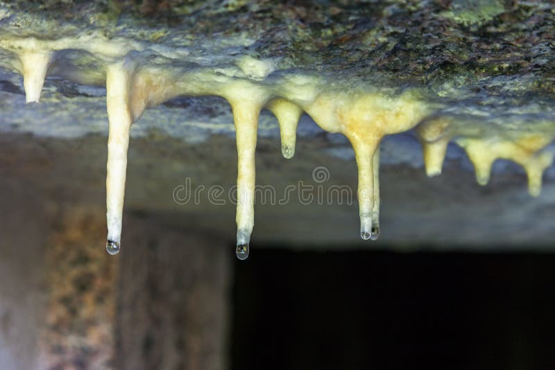 Stalactites Hanging from the Roof Stock Image - Image of formation ...