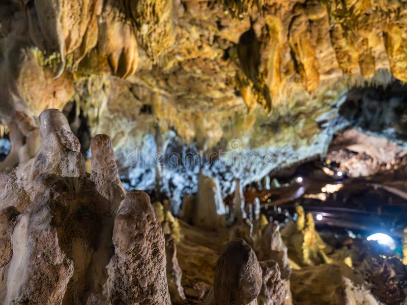 Stalagmites Rising from the Ground in an Illuminated Cave Stock Image ...