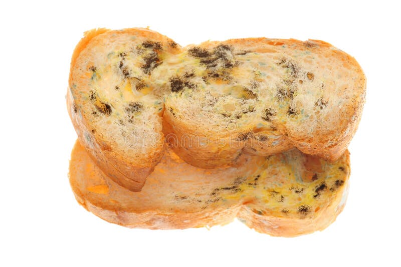 Stale Breads stock image. Image of mould, foul, moldy - 25288797