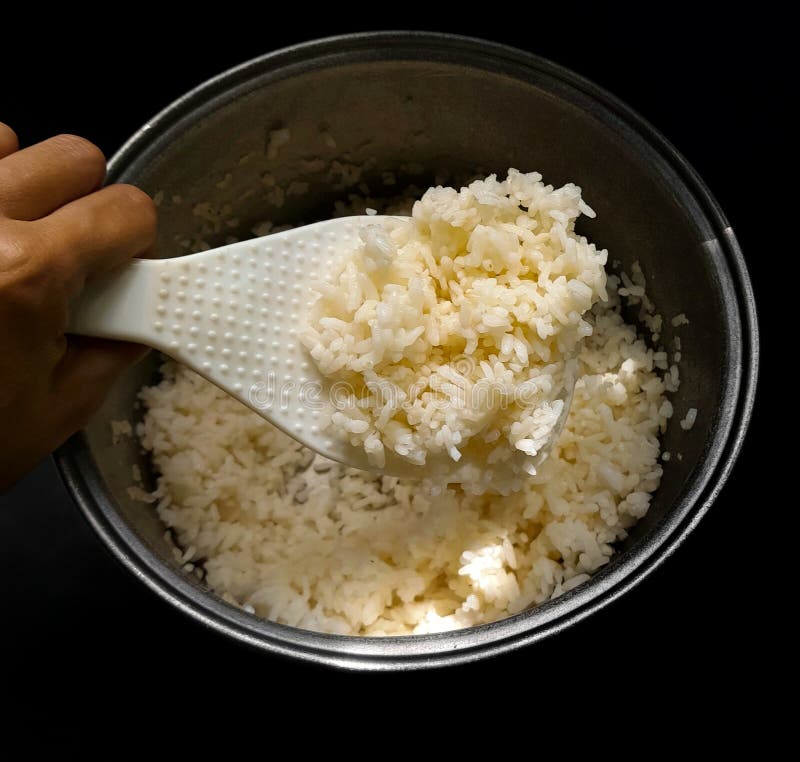 Stale Rice in the Rice Cooker Pot Stock Image - Image of odor ...