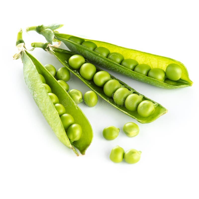 Stalk of green peas stock image. Image of food, peas - 152531225