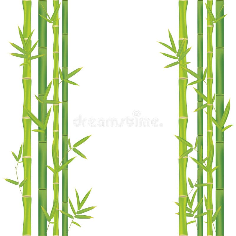 Stalks of bamboo stock vector. Illustration of decoration - 140862662
