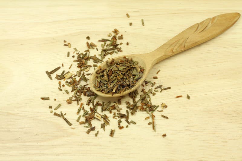 Stalks of Dried Rosemary in a Spoon Stock Image - Image of potion, cold ...