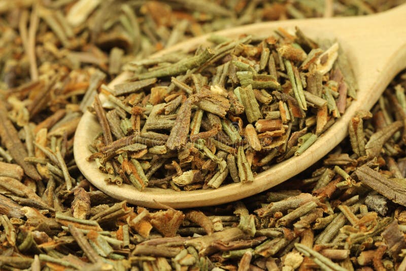 Stalks of Dried Rosemary in a Wooden Spoon Stock Photo - Image of drink ...