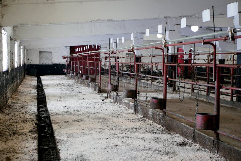 Stall for Keeping Animals on the Farm Stock Photo - Image of animal ...