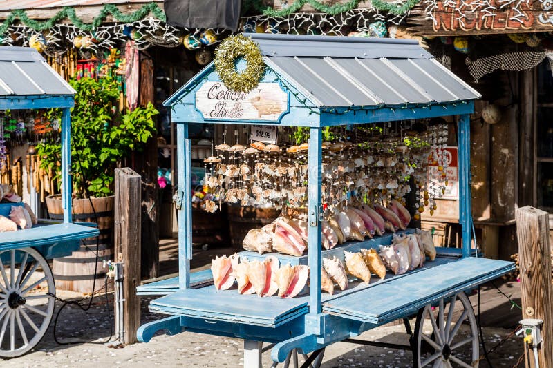 Stall Selling Conch Shells stock image. Image of travel - 66934259