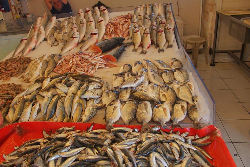 Stall with Various Types of Fish in the Store Stock Photo - Image of ...