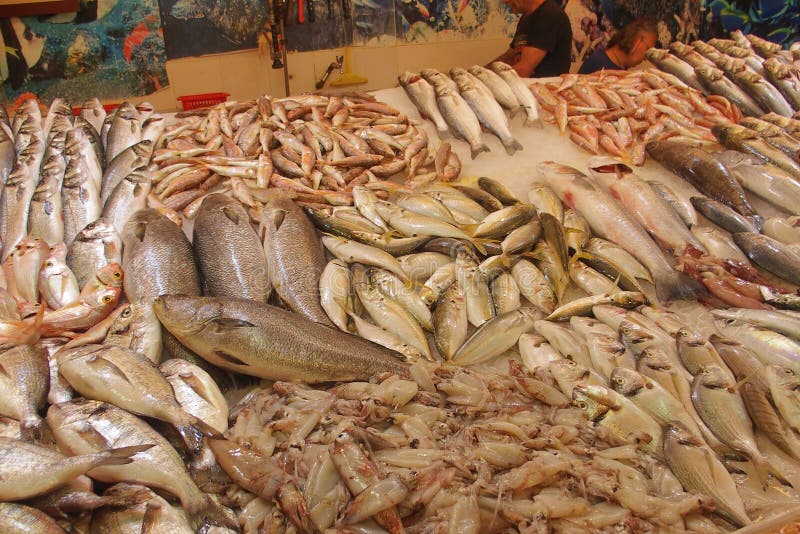 Stall with Various Types of Fish in the Store Stock Image - Image of ...