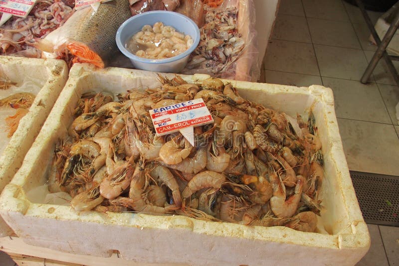 Stall with Various Types of Fish in the Store Stock Photo - Image of ...