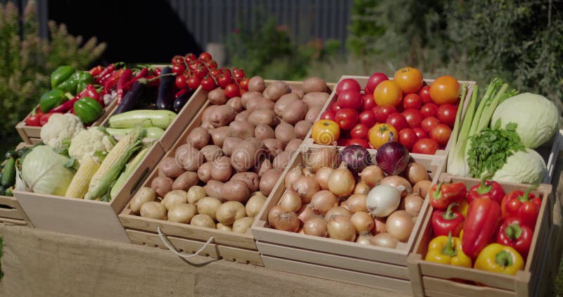 A Stall with Various Vegetables at a Farmers Market. Side View Stock ...
