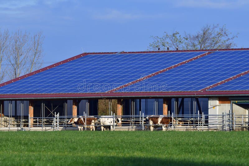 Stalla Moderna Con Un Sistema Solare Fotografia Stock - Immagine di ...