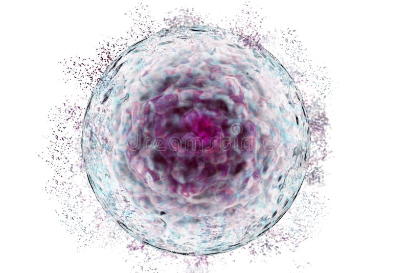 Stamcel Met Eiwitcluster, Deconstructing Stamcel Stock Illustratie ...