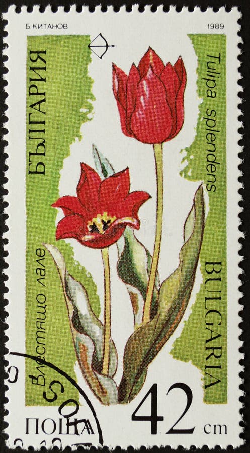 Stamp editorial stock image. Illustration of flora, fauna - 91341339