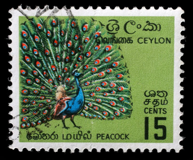 Stamp Printed in Ceylon Shows Image of Peacock Editorial Stock Photo ...