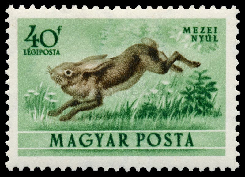 200 Rabbit Postage Stamp Stock Photos - Free & Royalty-Free Stock ...