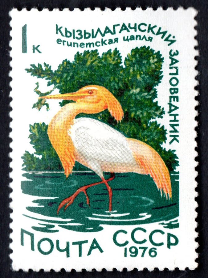 Stamp Printed by Soviet Union Showing Bird Egyptian Heron. Postage ...
