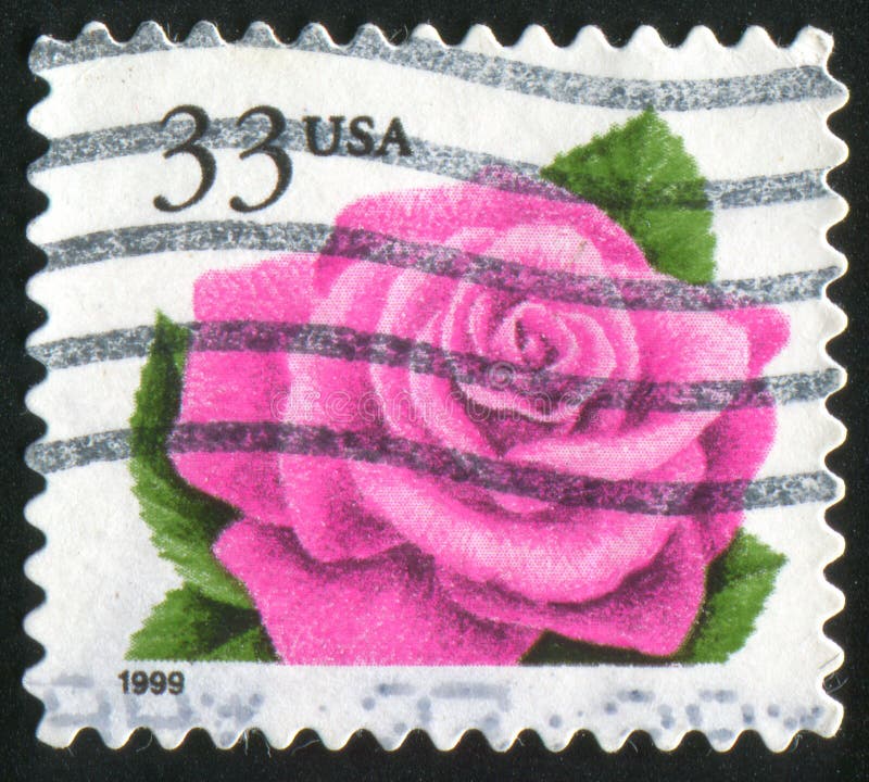 Stamp rose editorial photo. Image of envelope, botany - 144848096