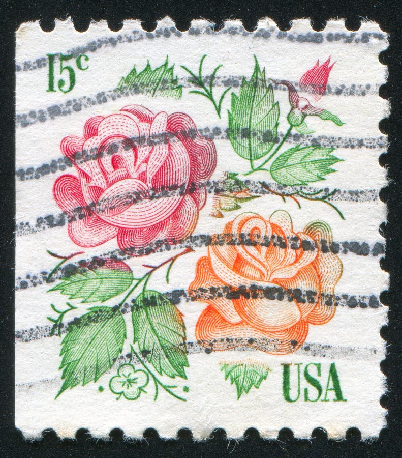 Stamp rose editorial photography. Image of aged, bloom - 144848182