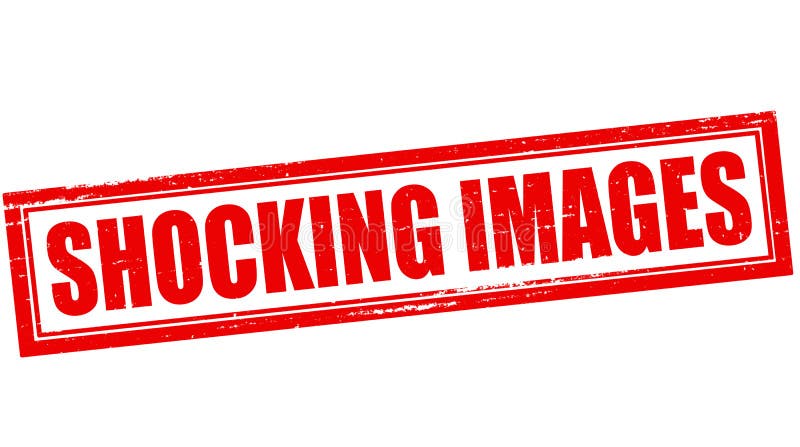 1,265 Shocking Red Stock Photos - Free & Royalty-Free Stock Photos from ...