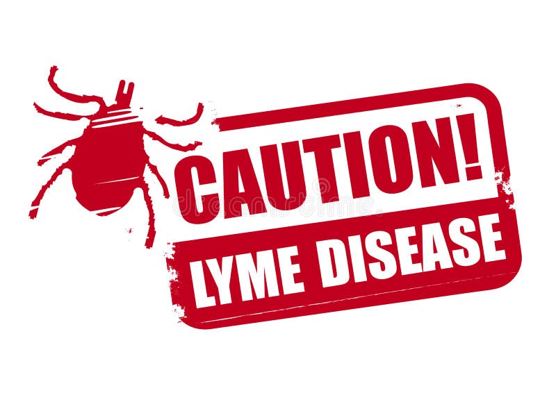 Stamp Tick Alert Illustration Stock Vector - Illustration of banner ...