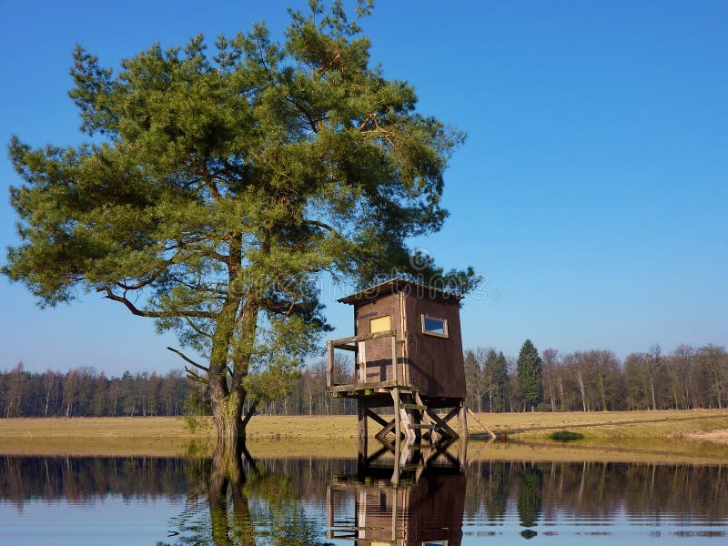 Wooden tree fort stock photo. Image of hunting, trees - 12282298