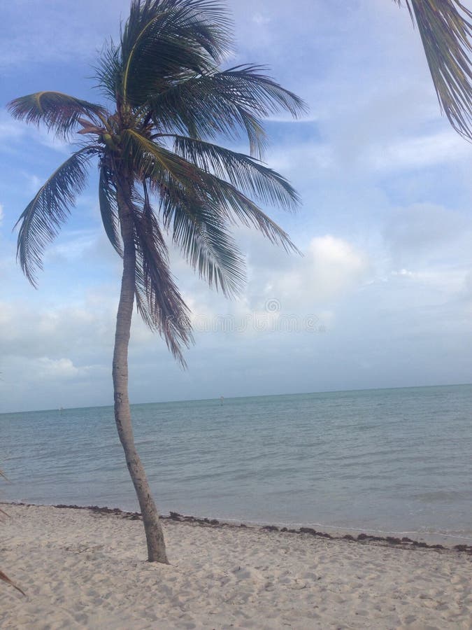 Stand Alone stock image. Image of west, ocean, enjoying - 104595181