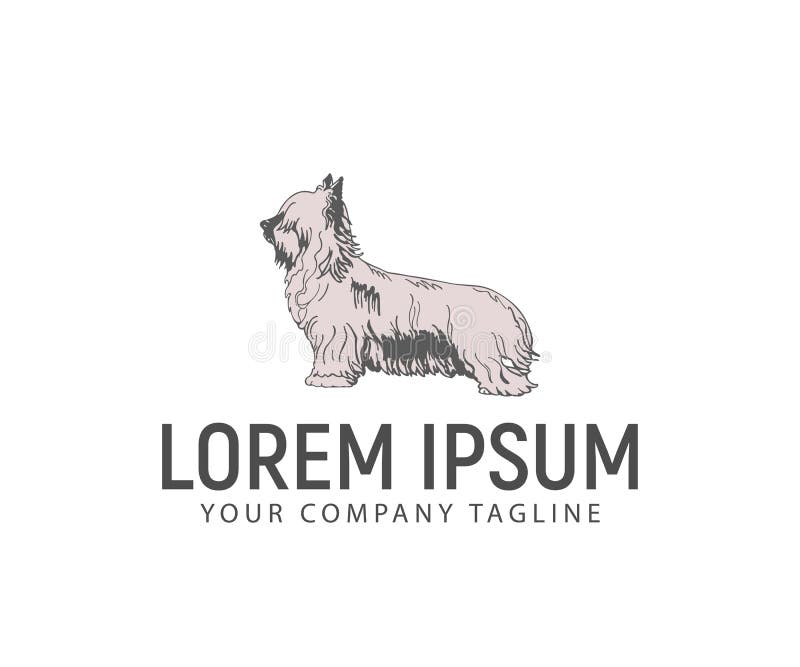 Stand Dog Logo. Hand Drawn Poodle Pet Dog Logo Design Concept Stock ...