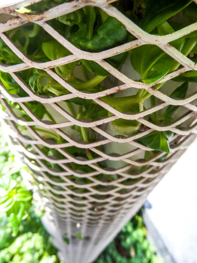 Stand Iron Weave Stock Photos - Free & Royalty-Free Stock Photos from ...