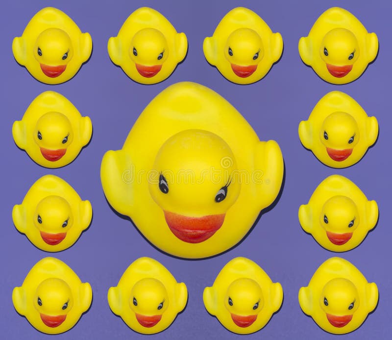 Stand Out Concepts with Yellow Plastic Ducks Stock Photo - Image of ...
