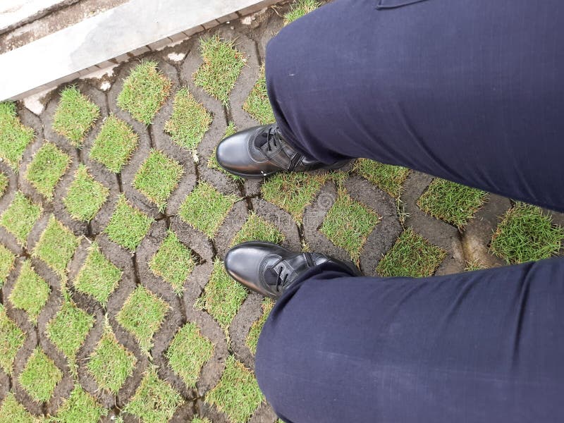 Stand over the green grass stock photo. Image of wheel - 217469866