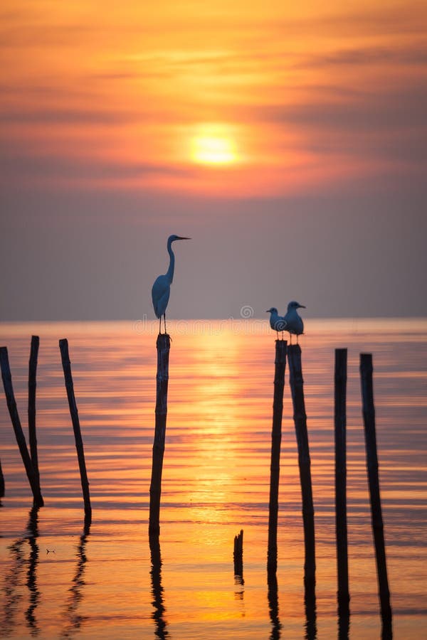 Stand still Tall tower stock image. Image of provider - 283943961