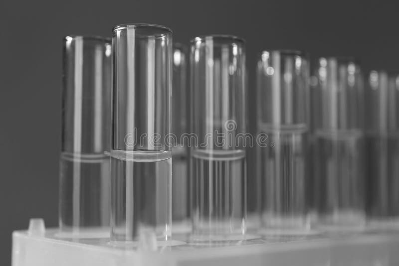 Stand with Test Tubes, Closeup Stock Image - Image of biology, liquid ...