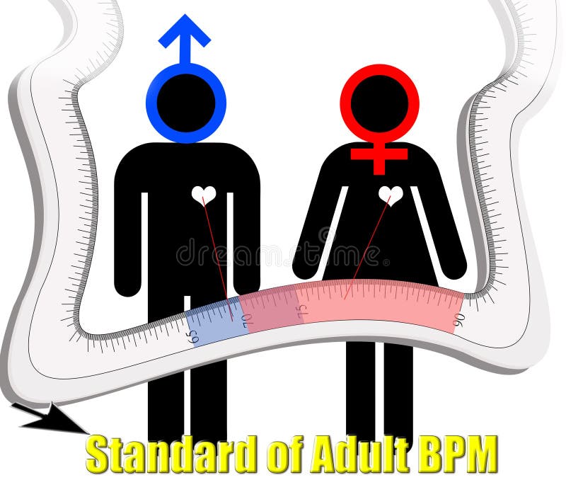 Standard of Adult Beat Per Minute Stock Illustration - Illustration of ...