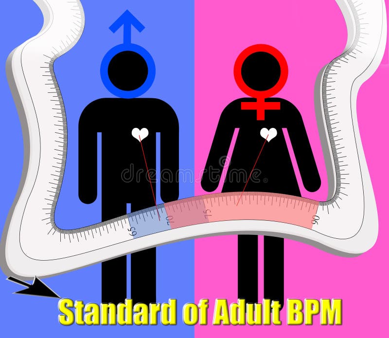 Standard of Adult Beat Per Minute Stock Illustration - Illustration of ...