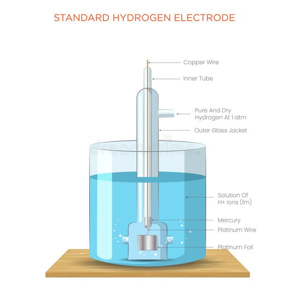 Standard Hydrogen Electrode (she) Reference Electrode for Measuring ...