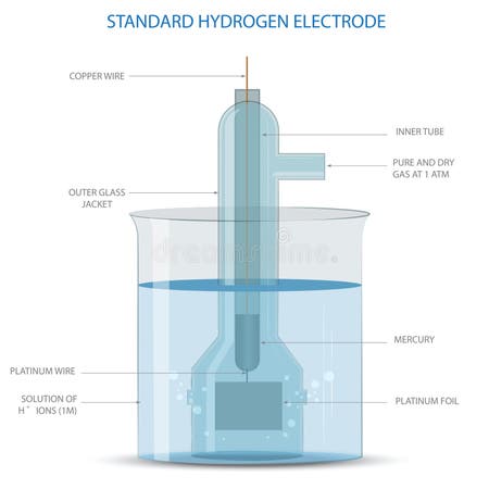 A Standard Hydrogen Electrode (she) is an Electrode that Scientists Use ...