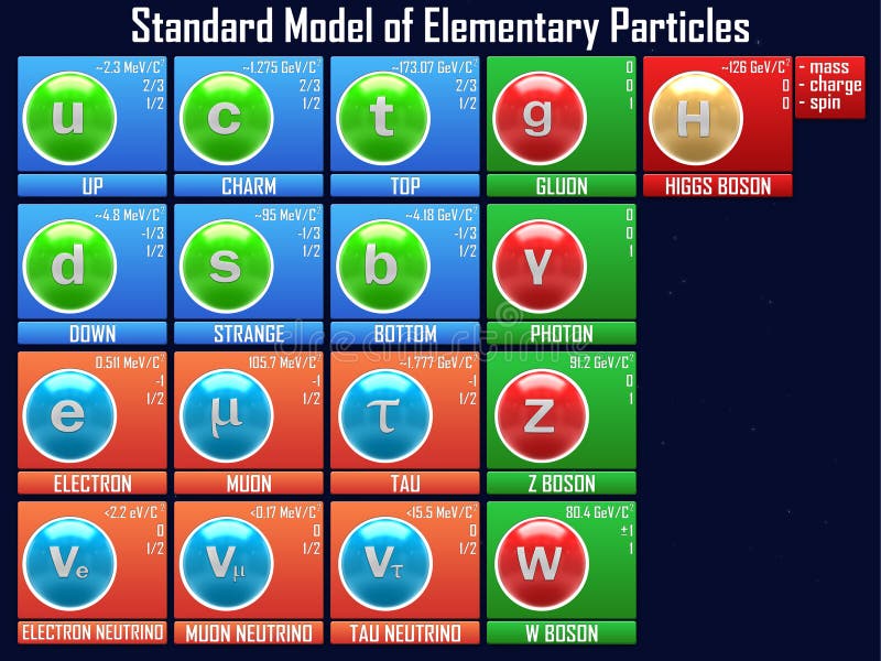 Standard Model of Elementary Particles Stock Vector - Illustration of ...