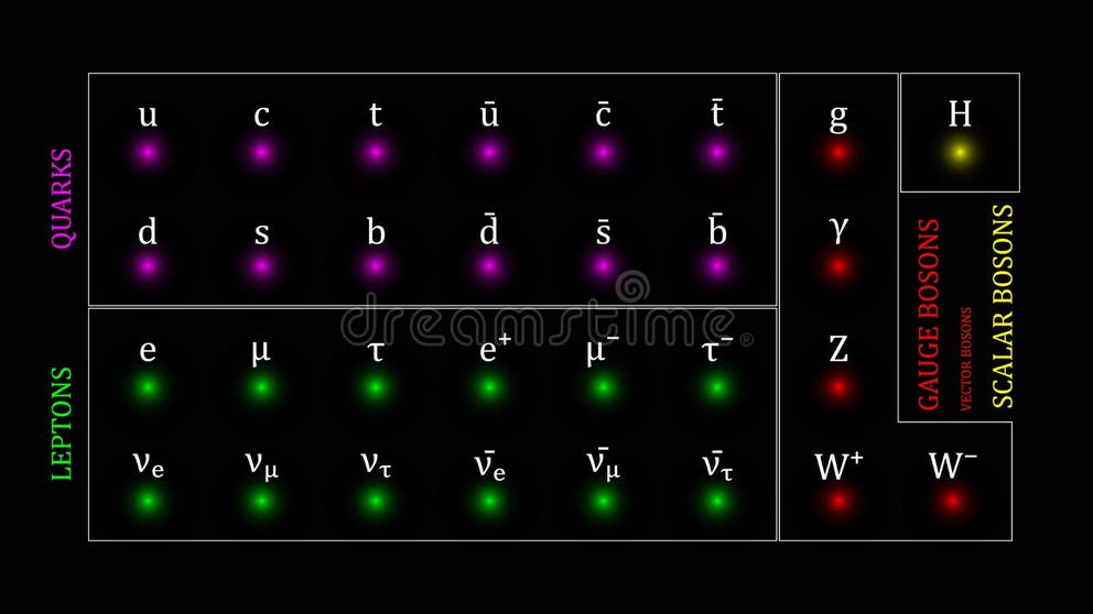 Standard Model of Elementary Particles Stock Vector - Illustration of ...