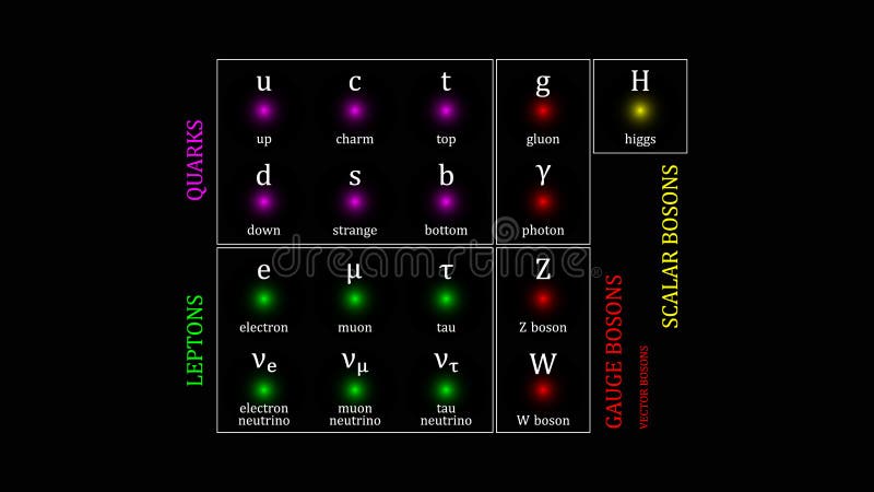 Standard Model of Elementary Particles Stock Vector - Illustration of background, lepton: 245880767