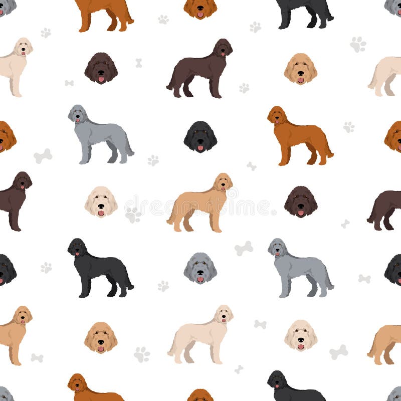Standard Poodle Seamless Pattern. Different Poses, Coat Colors Set ...
