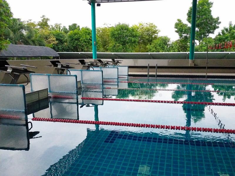 A Standard Swimming Pool with Starting Blocks and Protective Shields ...