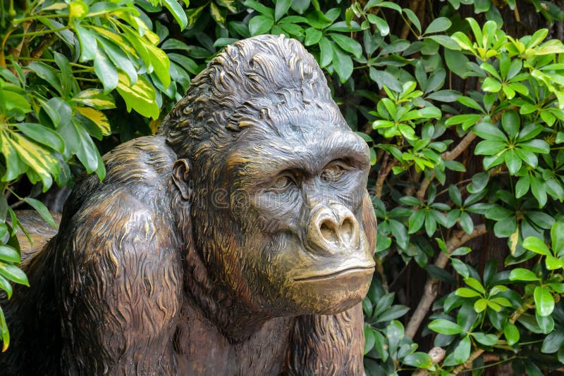 Standbeeld Van Sterke Gorilla Stock Foto - Image of zilver, standbeeld ...