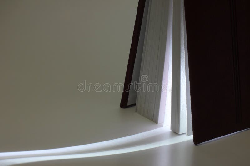 Standing Ajar at the End of the Book with Proceeds from Her Light Stock ...